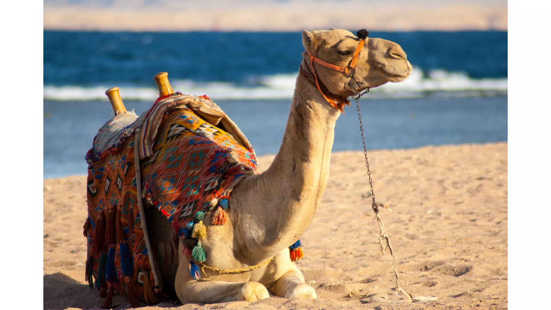 A Journey to Lost Cities & UNESCO Treasures